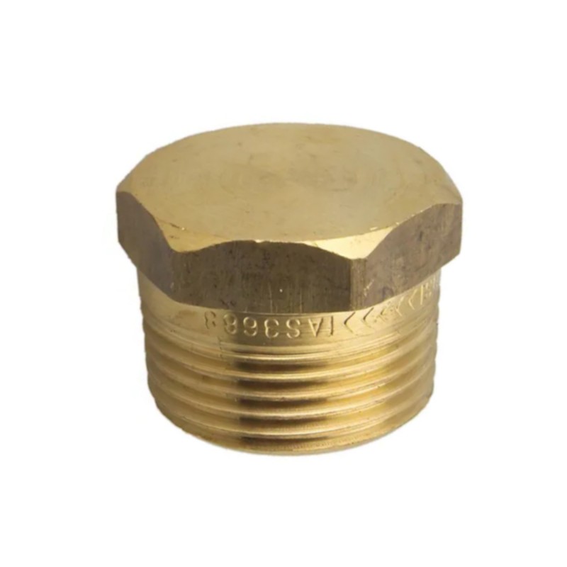 Brass Plug