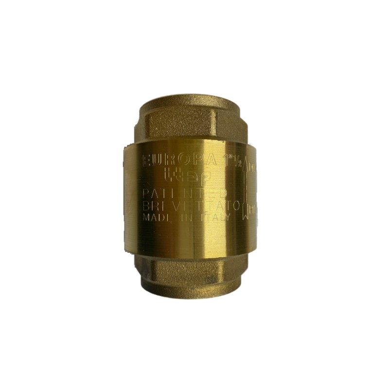 Spring Non Return Valve - Brass Spring Non Return Valve - Brass